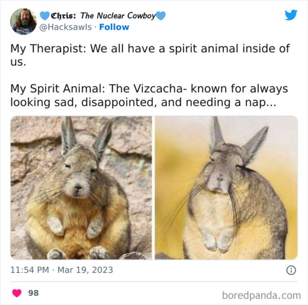 30 Adorable And Cute Memes For People Who Are “Obsessed With Animals ...