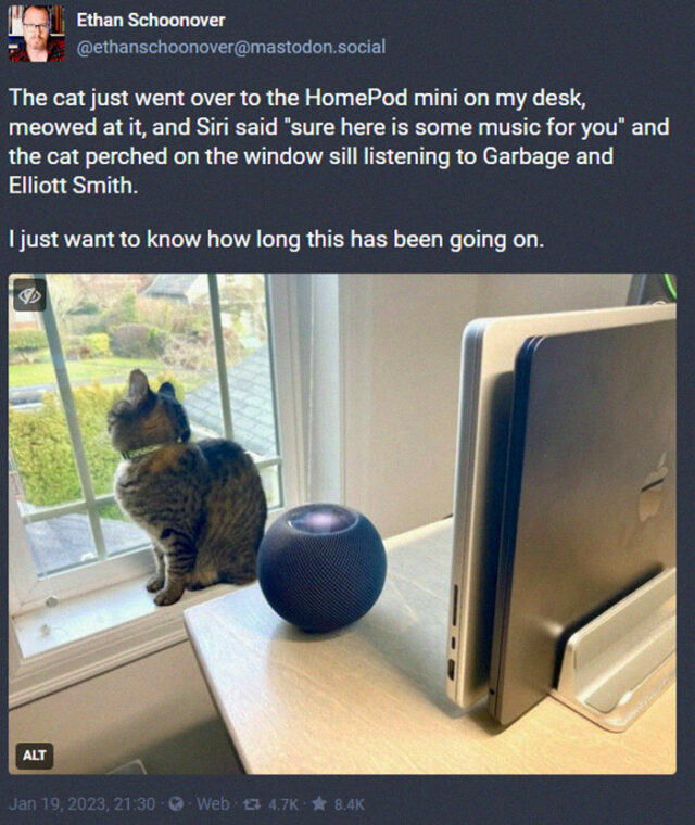 30 Pawsitively Adorable Cat Memes To Brighten Your Day | DeMilked