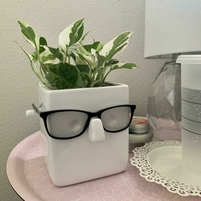 20 Examples of Plants and Pots Perfectly Paired Together | DeMilked