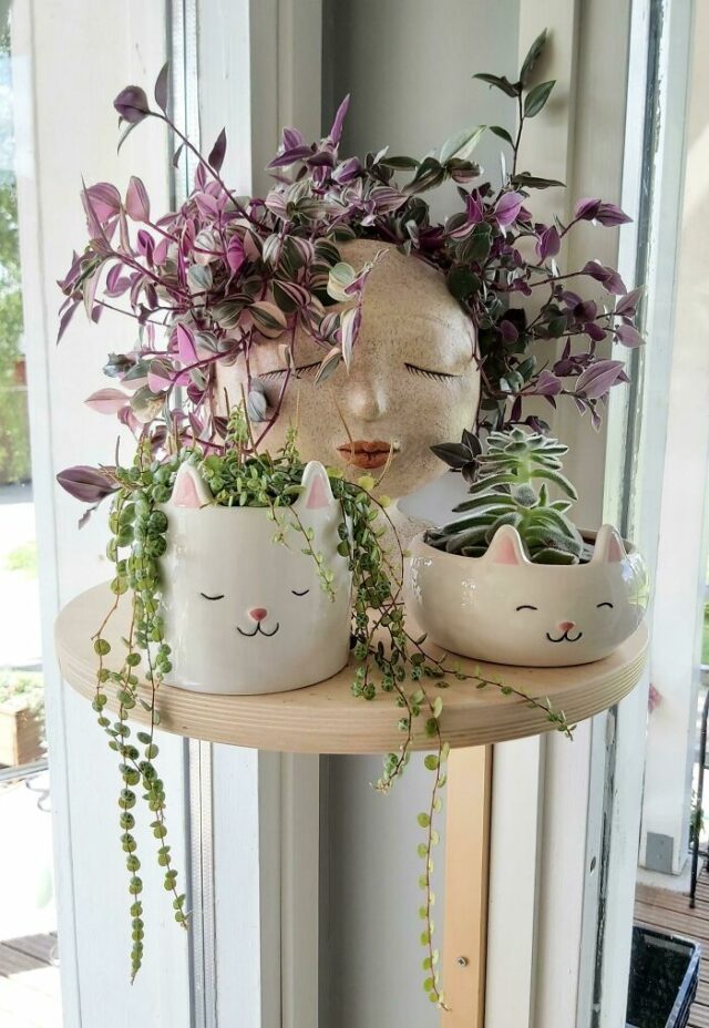 20 Examples of Plants and Pots Perfectly Paired Together | DeMilked