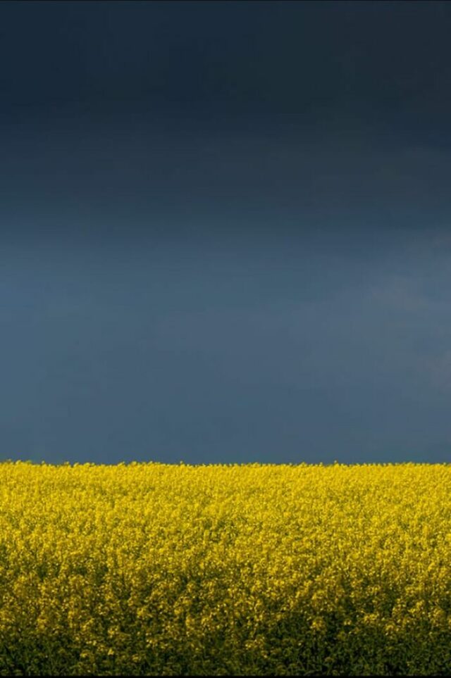 20 Minimalist Pics That Highlight The Simplicity And Beauty Of "Less Is ...