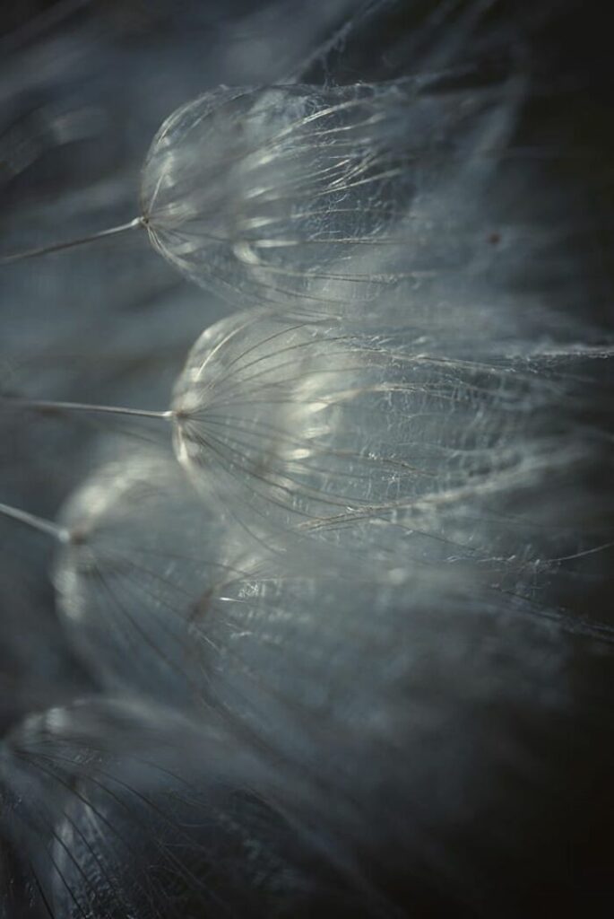 20 Minimalist Pics That Highlight The Simplicity And Beauty Of "Less Is ...