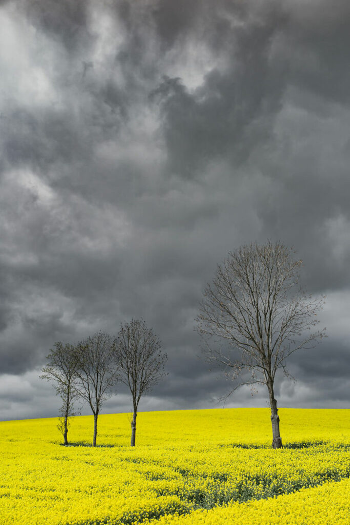 20 Minimalist Pics That Highlight The Simplicity And Beauty Of "Less Is ...