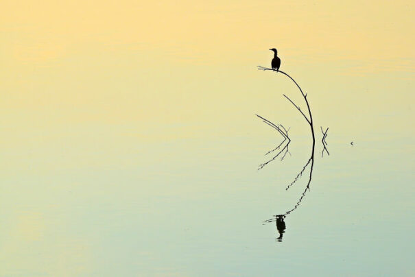 20 Minimalist Pics That Highlight The Simplicity And Beauty Of "Less Is ...