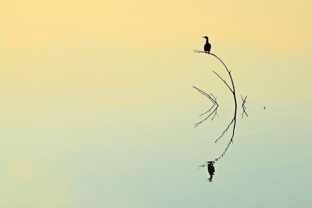 20 Minimalist Pics That Highlight The Simplicity And Beauty Of "Less Is ...