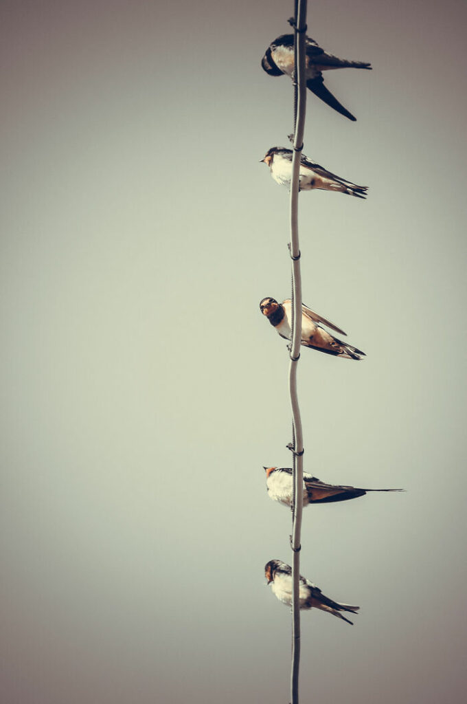 20 Minimalist Pics That Highlight The Simplicity And Beauty Of "Less Is ...