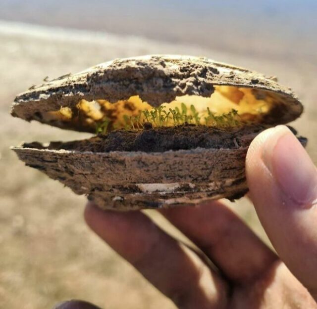 30 Times People Were Completely Surprised By The Inner Contents Of ...