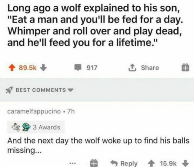 “Cursed Comments”: 30 Ridiculously Funny Comments Found In The Wild ...