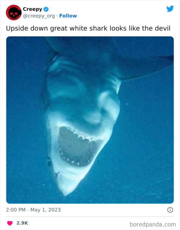 20 Interesting But Creepy Things Shared By This Twitter Account | DeMilked