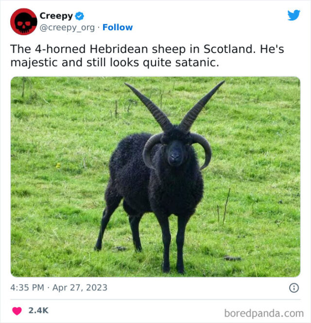 20 Interesting But Creepy Things Shared By This Twitter Account | DeMilked