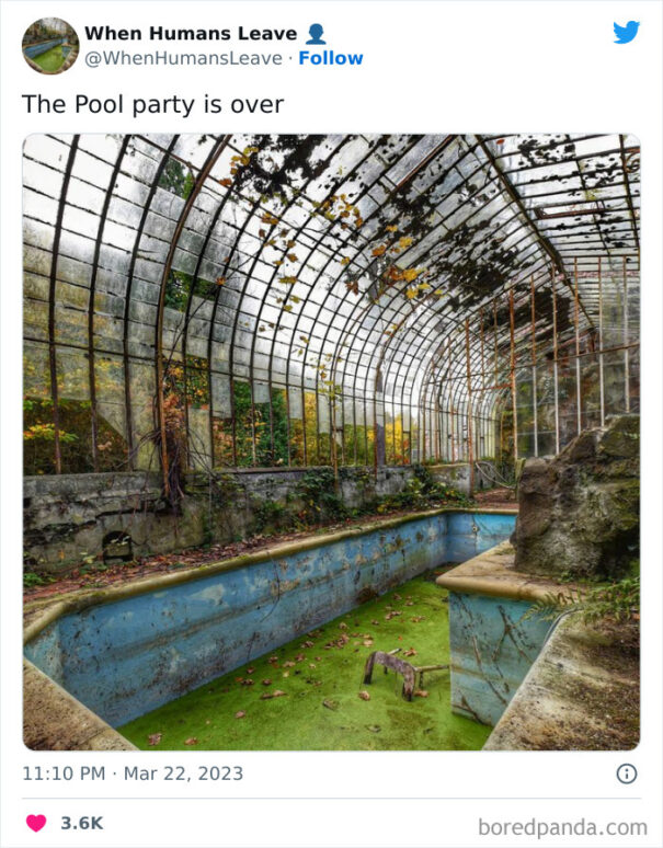 “When Humans Leave”: 20 Abandoned Places Reclaimed By Nature | DeMilked
