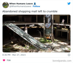 “When Humans Leave”: 20 Abandoned Places Reclaimed By Nature | DeMilked