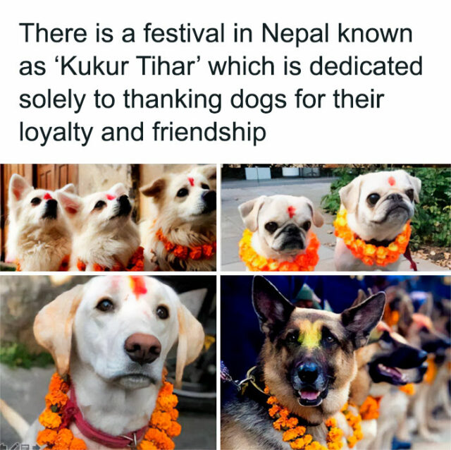 30 Positive And Heartwarming News Stories Shared On Instagram To ...