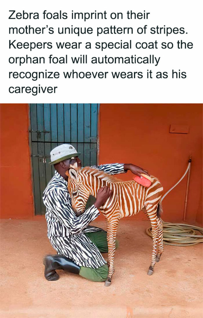 30 Positive And Heartwarming News Stories Shared On Instagram To ...