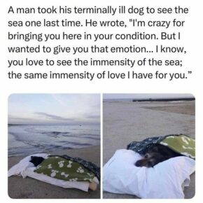 30 Wholesome Pics And Memes To Bring Some Joy To Your Day, As Shared On ...