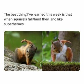30 Wholesome Pics And Memes To Bring Some Joy To Your Day, As Shared On ...