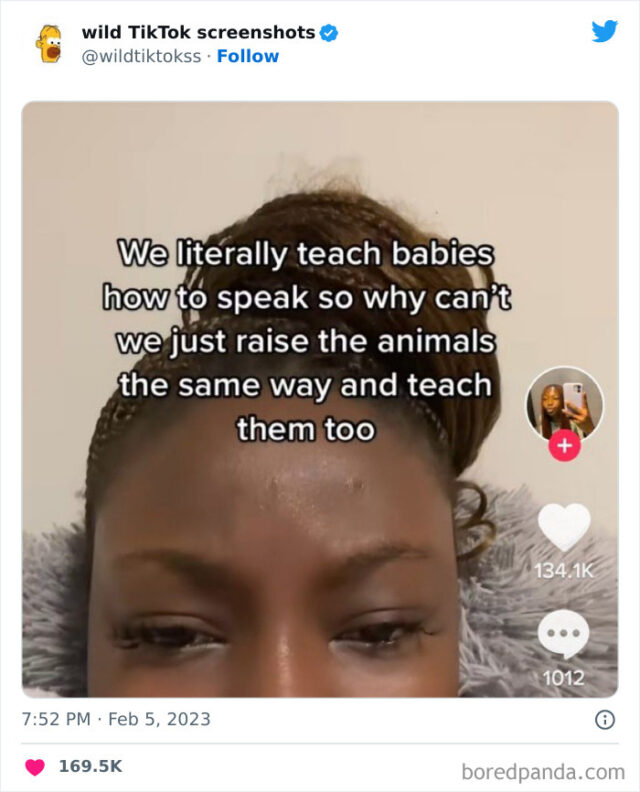 This Twitter Page Unlocks The Weird Side Of TikTok, Here Are 30 Of The ...
