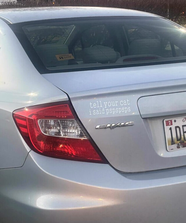 30 Clever And Funny Bumper Stickers Spotted On The Streets | DeMilked