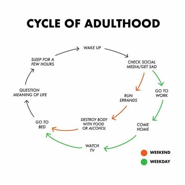 20 Funny, Honest, And Relatable Charts That Sum Up The Unfiltered ...