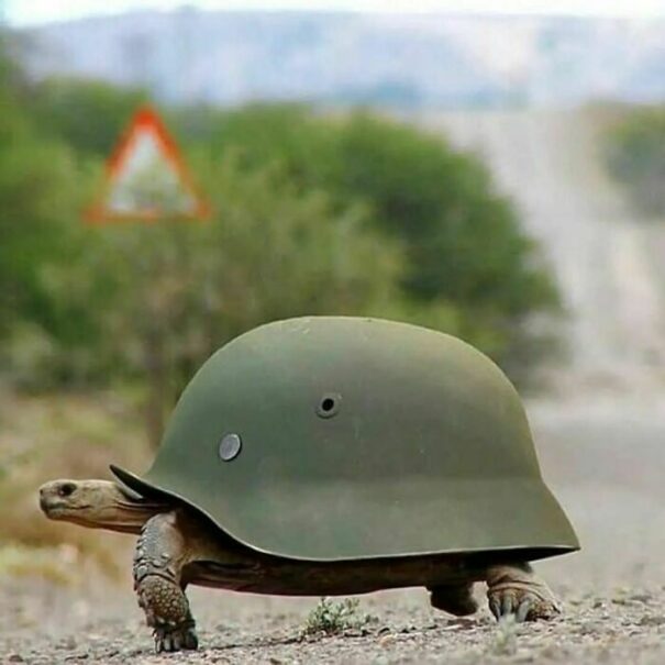 30 Random Bizarre Pics Posted On The 'Cursed Memes' Instagram Page ...