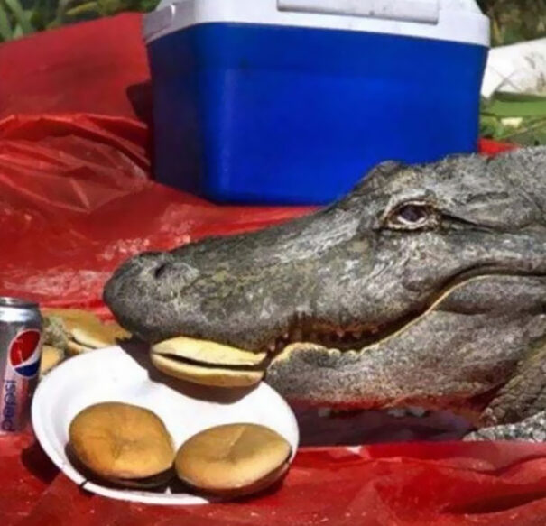 30 Random Bizarre Pics Posted On The 'Cursed Memes' Instagram Page ...
