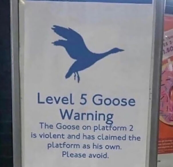 30 Random Bizarre Pics Posted On The 'Cursed Memes' Instagram Page ...