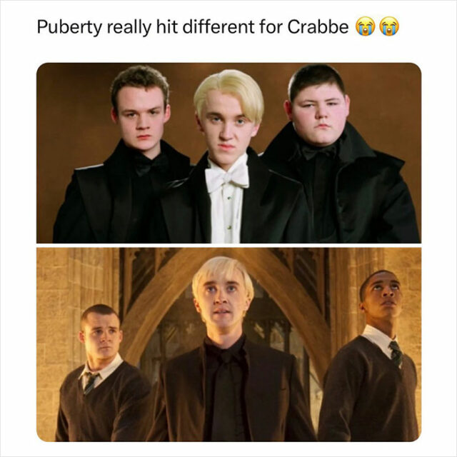 20 Absolutely Delightful Memes Shared On The Instagram Page “Meme Lord ...