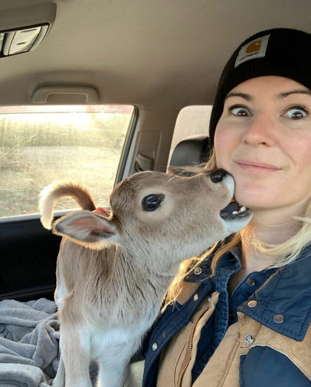 30 Heartwarming Pics Of Animals Being Their Wholesome Best | DeMilked