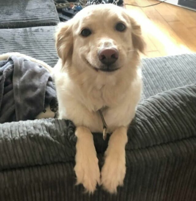 30 Heartwarming Pics Of Animals Being Their Wholesome Best | DeMilked