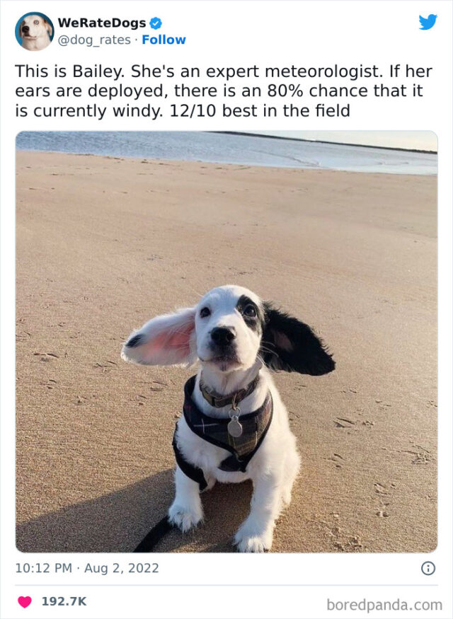 30 Heartwarming Pics Of Animals Being Their Wholesome Best | DeMilked