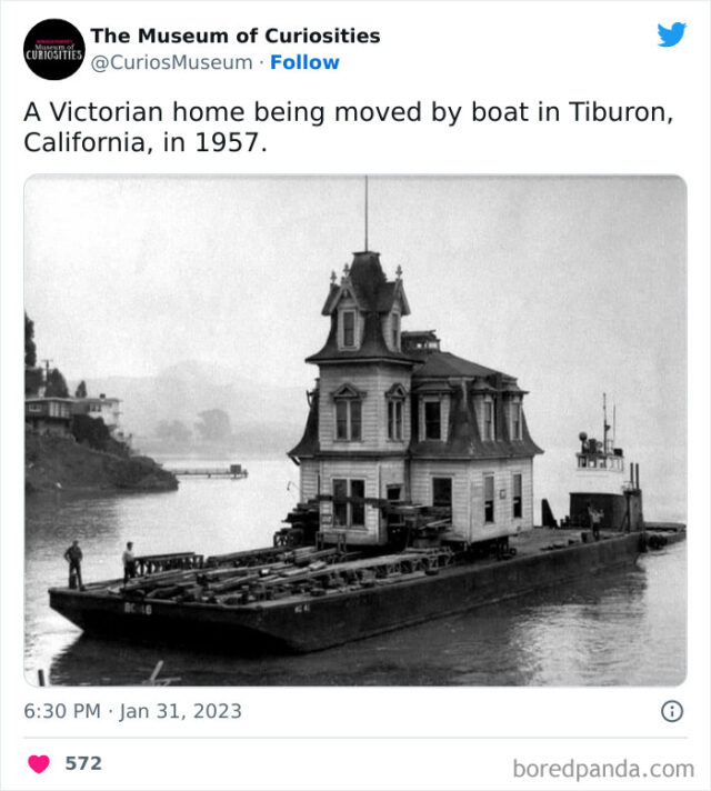 30 Weird, Disturbing, And Intriguing Exhibits At The Online Twitter ...