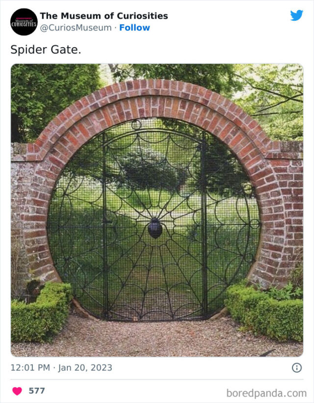 30 Weird, Disturbing, And Intriguing Exhibits At The Online Twitter ...