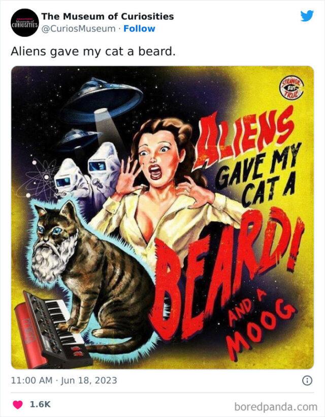 30 Weird, Disturbing, And Intriguing Exhibits At The Online Twitter ...