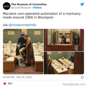 30 Weird, Disturbing, And Intriguing Exhibits At The Online Twitter ...