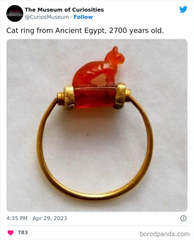 30 Weird, Disturbing, And Intriguing Exhibits At The Online Twitter ...