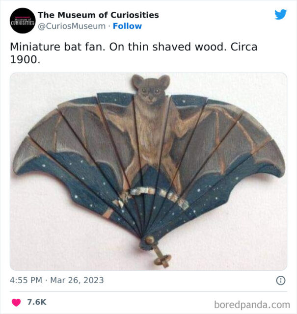 30 Weird, Disturbing, And Intriguing Exhibits At The Online Twitter ...