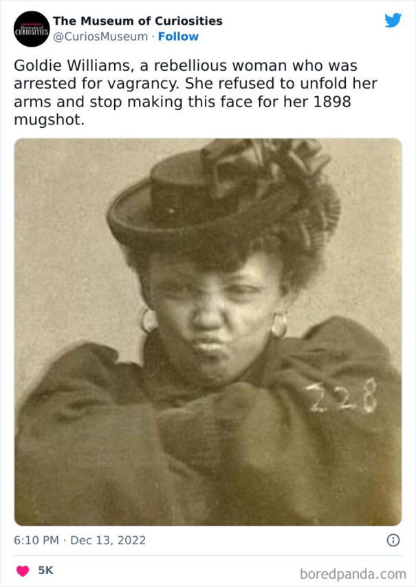 30 Weird, Disturbing, And Intriguing Exhibits At The Online Twitter ...