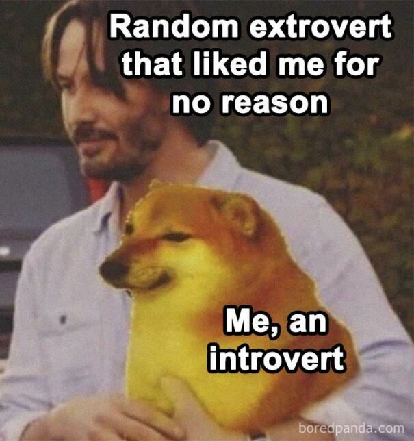 20 Painfully Accurate Memes That Reflect The Introvert’s Lifestyle ...