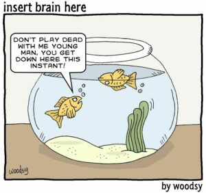 20 Funny Comics From The “Insert Brain Here” Series By Artist Paul Woods | DeMilked