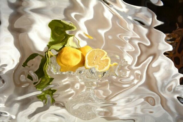 20 Winning Images From The Pink Lady® Food Photographer Of The Year ...