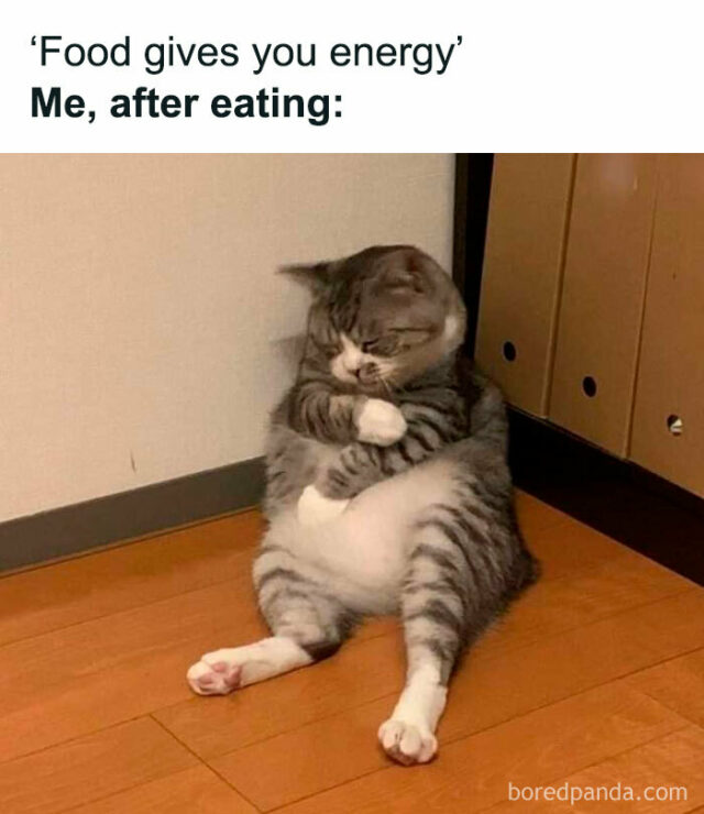 20 Snarky Memes For Those Who Want To Take A Break From Work Or Study ...