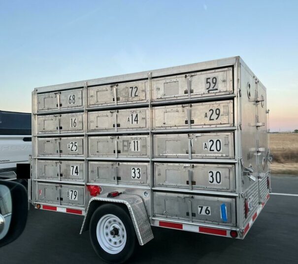 20 Strange-Looking Objects People Posted On This Online Group To Get An ...