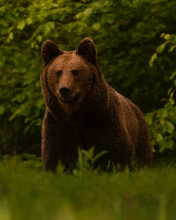 20 Outdoor Adventurers Share The Scariest Things That Happened To Them ...