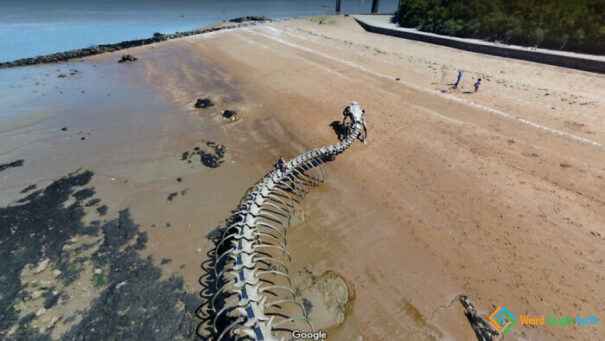 Twitter Account Shares “Weird Google Earth” Pics And Here Are 20 Of The ...