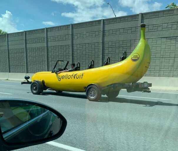 30 Funny, Weird, and Fascinating Sights Spotted On The Road | DeMilked
