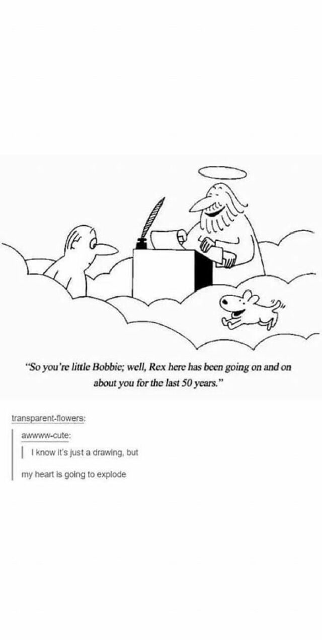 30 Memes That Will Remind You The World Is A Beautiful Place | DeMilked