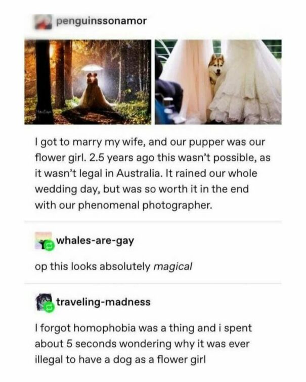 30 Best Posts From This Instagram Page To Add Some Positivity To Your ...