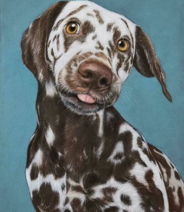 30 Times People Took Their DIY Skills To Another Level, As Shared In ...