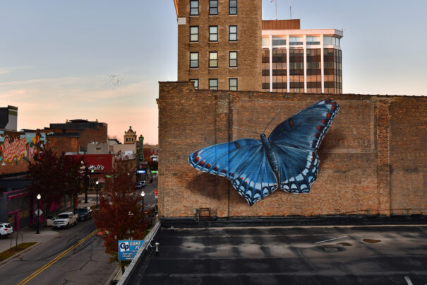 Artist Creates Larger-Than-Life Butterfly Murals To Beautify City Walls ...