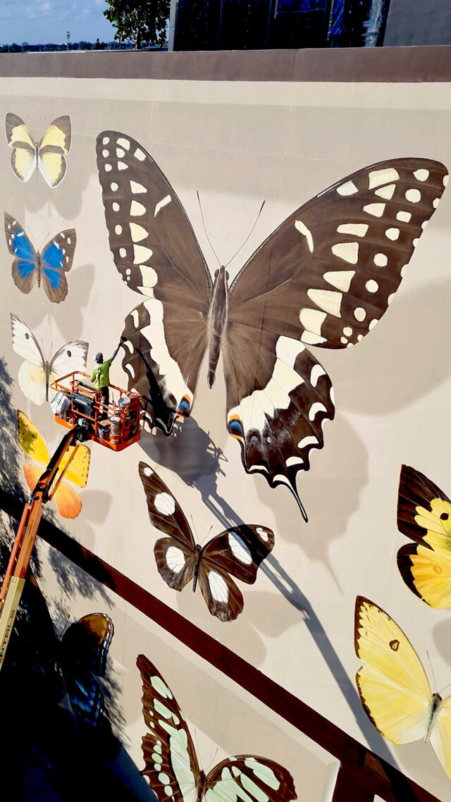 Artist Creates Larger-Than-Life Butterfly Murals To Beautify City Walls ...
